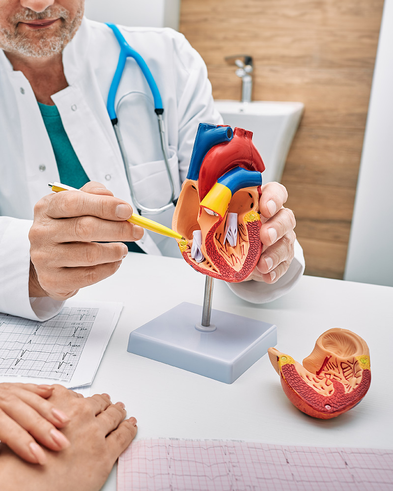 Cardiac Services | St Vincent's Private Hospitals