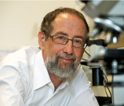 Prof Samuel Breit, Clinical Immunologist