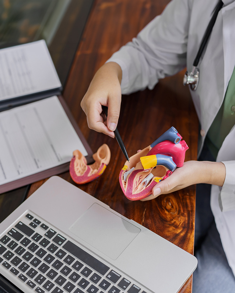 Cardiomyopathies and the Artificial Heart Transplant